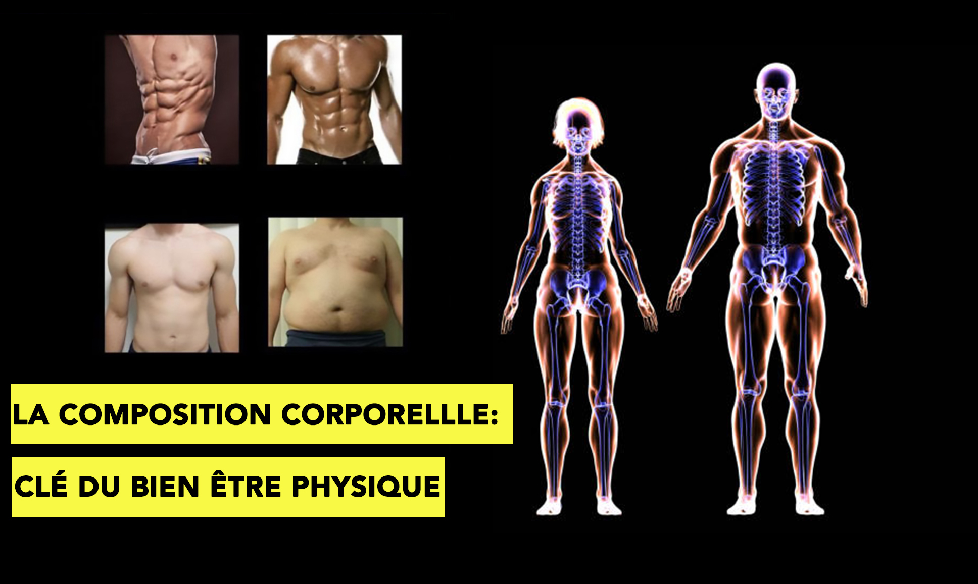 La composition corporelle: clé du bien-être physique - uncorpsdathlete.com